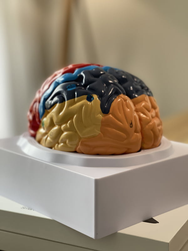 Book Review: The Yes Brain | Garrett Counseling